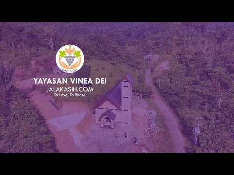 Company Profile Yayasan Vinea Dei - jalakasih.com - YouTube