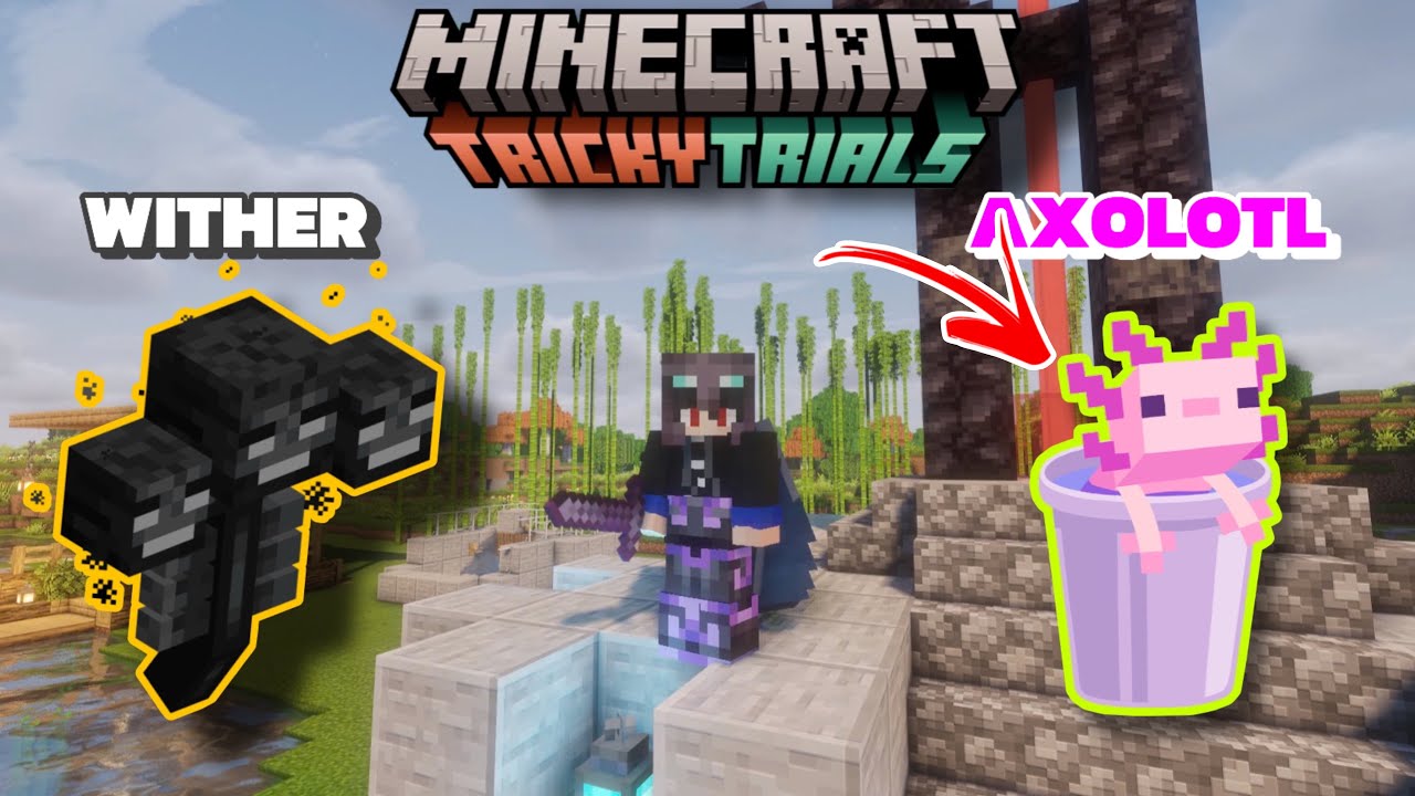 Minecraft Sinh Tồn Zenta World | Tập 11 | Đại Chiến Với Boss Wither và ...