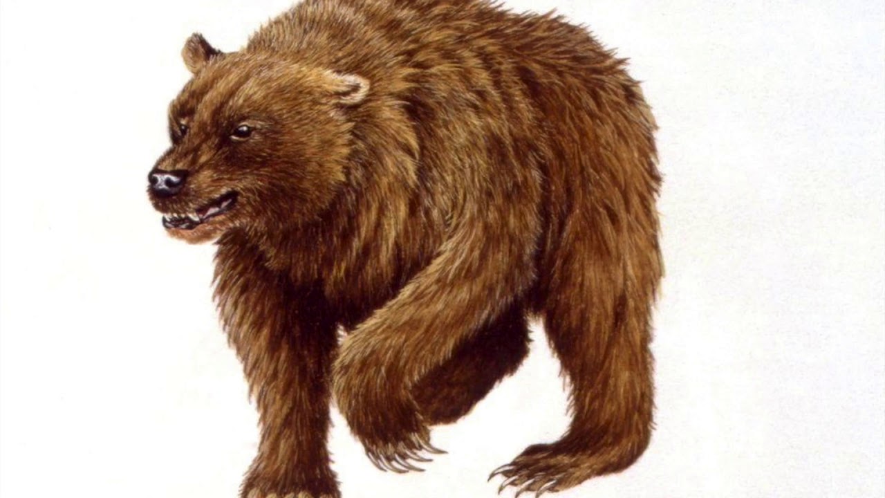 Hoyle's Mouth Cave, Tenby - HD 1080p - YouTube