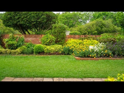 Sandhya Tripathi लाइव चालू हो गया है - YouTube