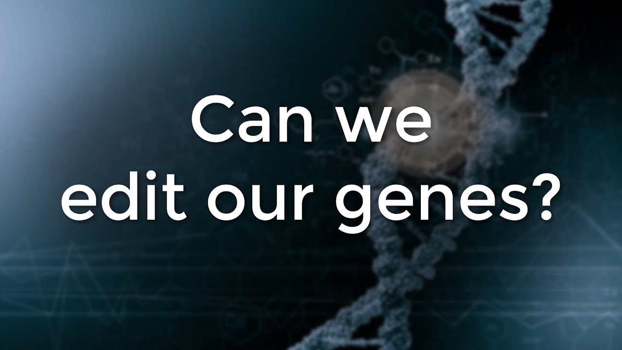 Can We Edit Our Genes YouTube can-we-edit-our-genes-youtube