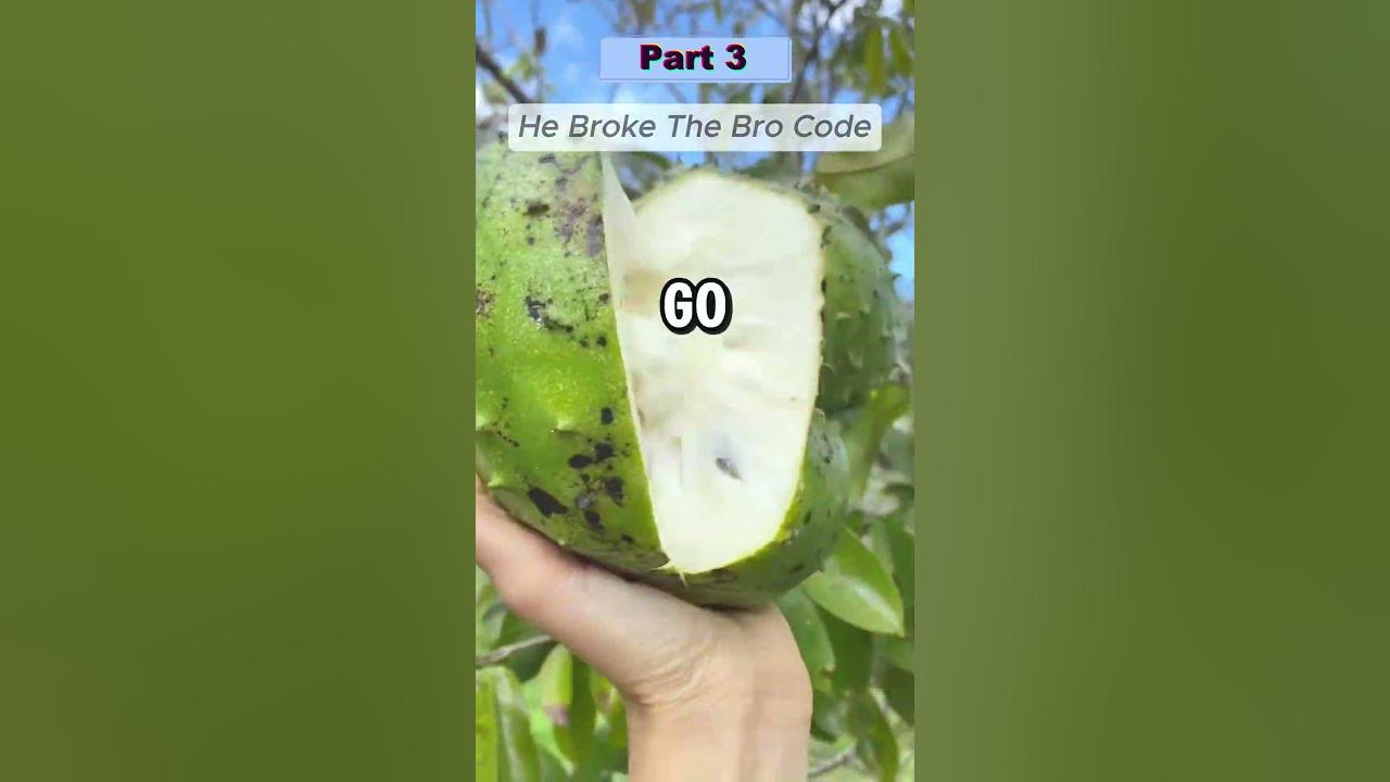 He Broke The Bro Code.Part 3 - YouTube