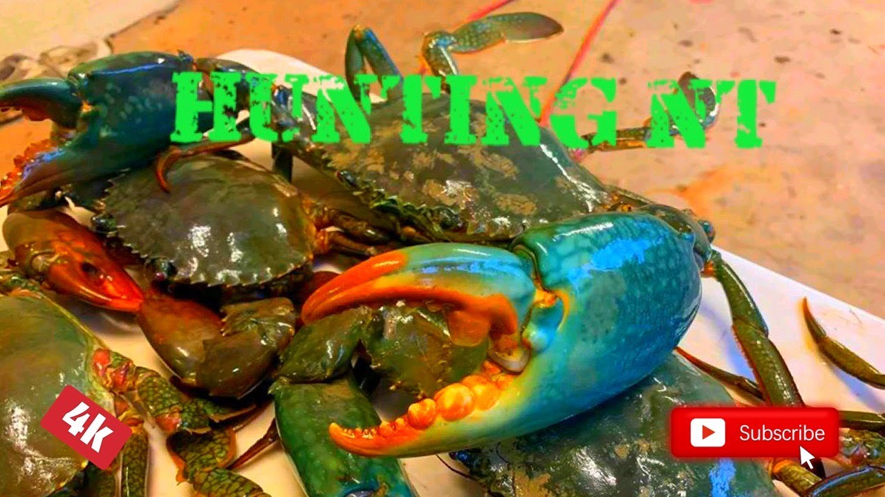 MUD CRABBING ADVENTURE DAY ONE - YouTube