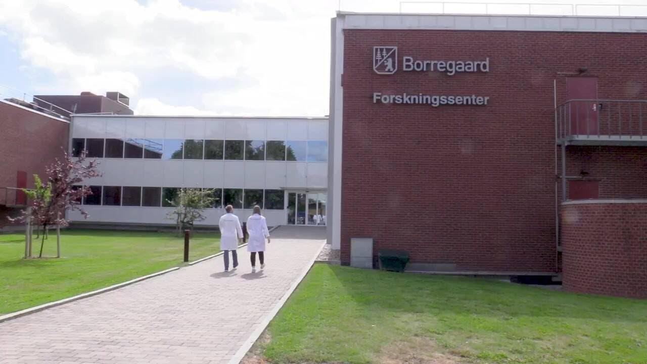 En sommer på Borregaard - sommerstudenter innenfor kjemi og ...