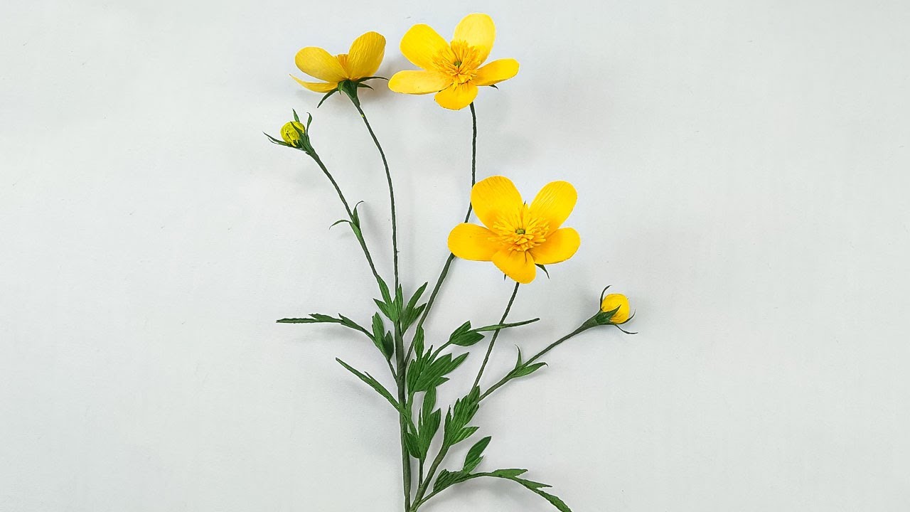 Easy Buttercup Paper Flower Making From Crepe Paper Crafts - YouTube