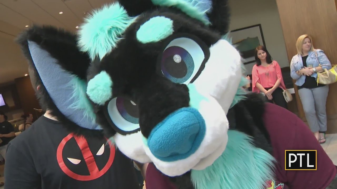 The Furries are back! - YouTube