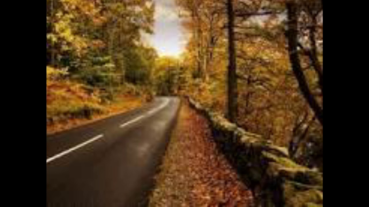 Lenuta Mandici Video Oficial - YouTube