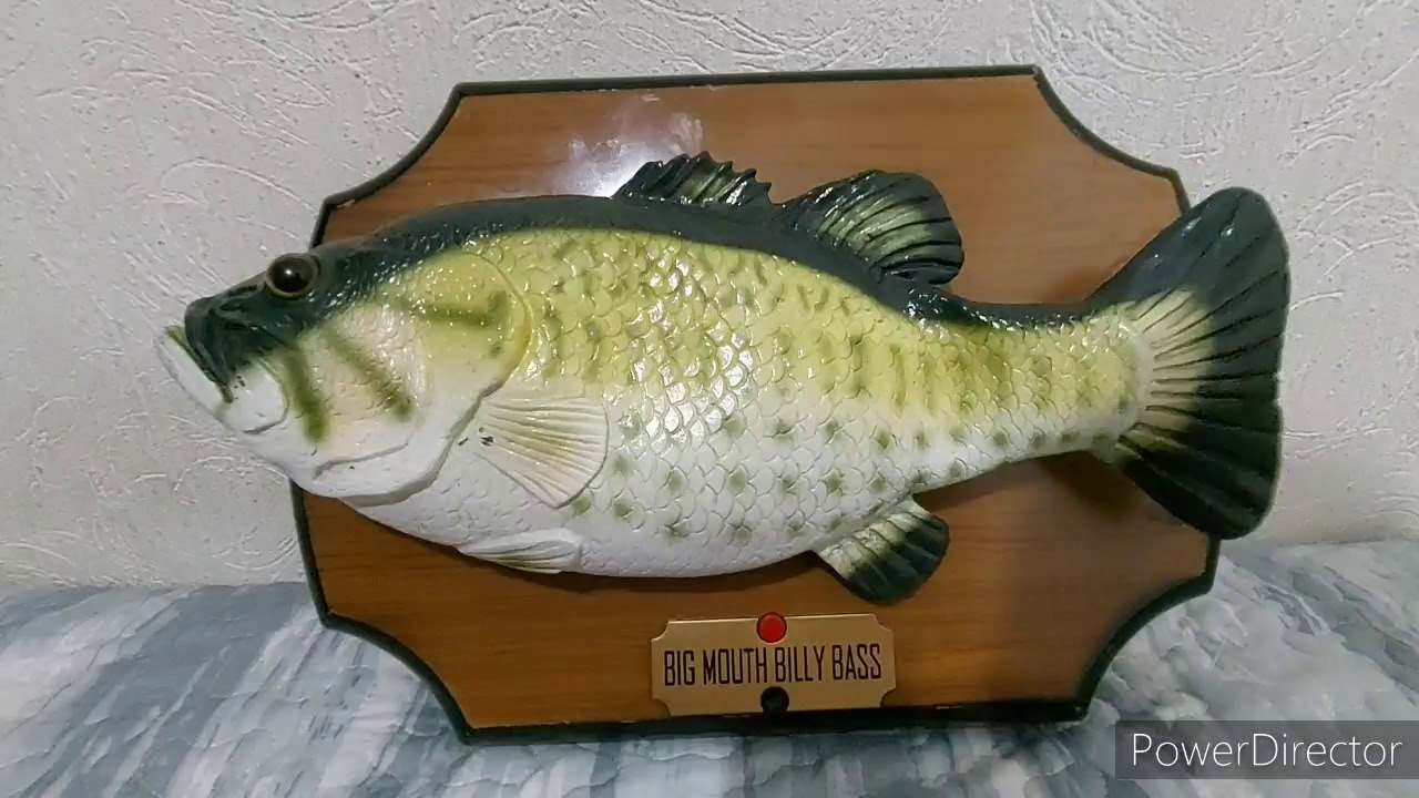 Big Mouth Billy Bass With Low Batteries - YouTube
