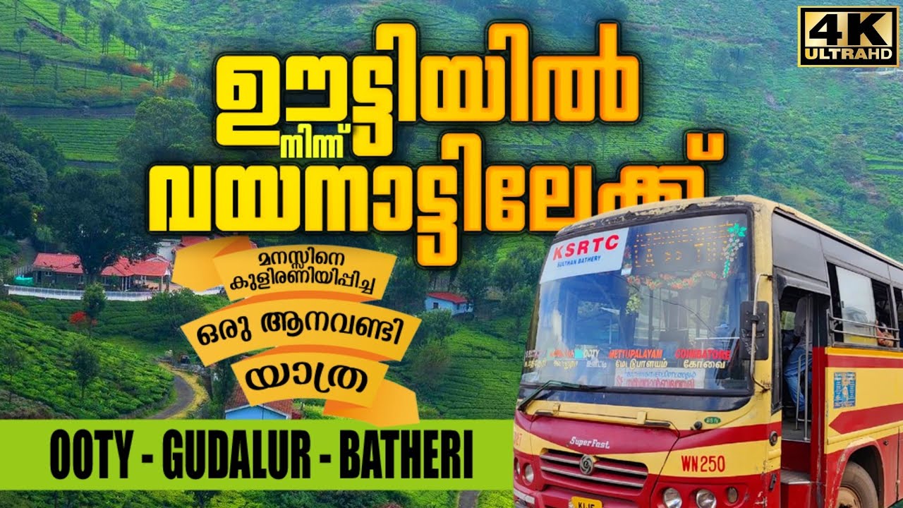 Ooty to Sulthan Bathery Bus Trip Via Gudalur | മനം കുളിരുന്ന കാഴ്ചകളുമായി ഒരു വയാനാടൻ യാത്ര ...