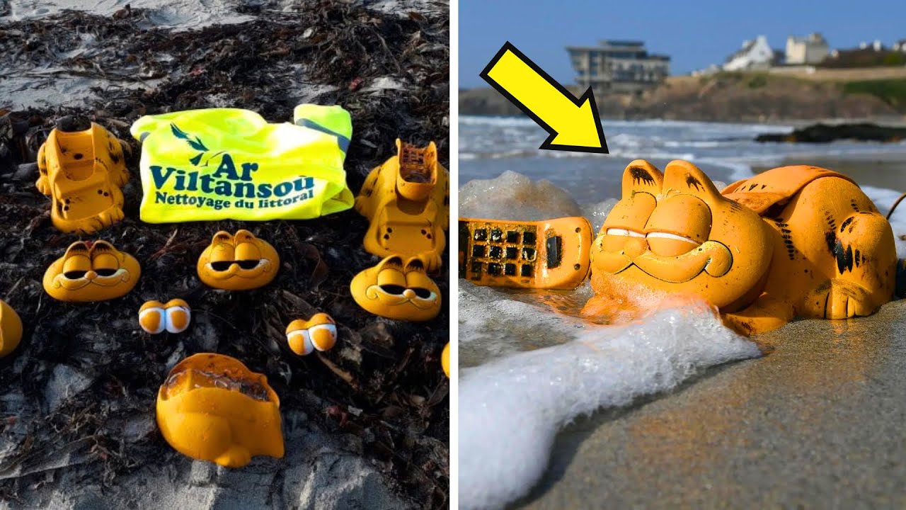 Garfield Phones Washed Up for 30 Years. The Reason Shocked Everyone ...
