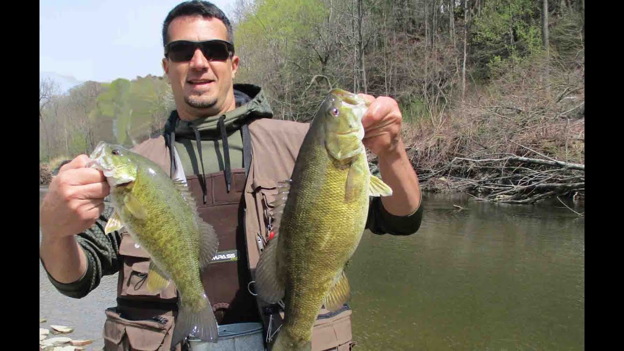 Fishing Clips of CH Bass - YouTube
