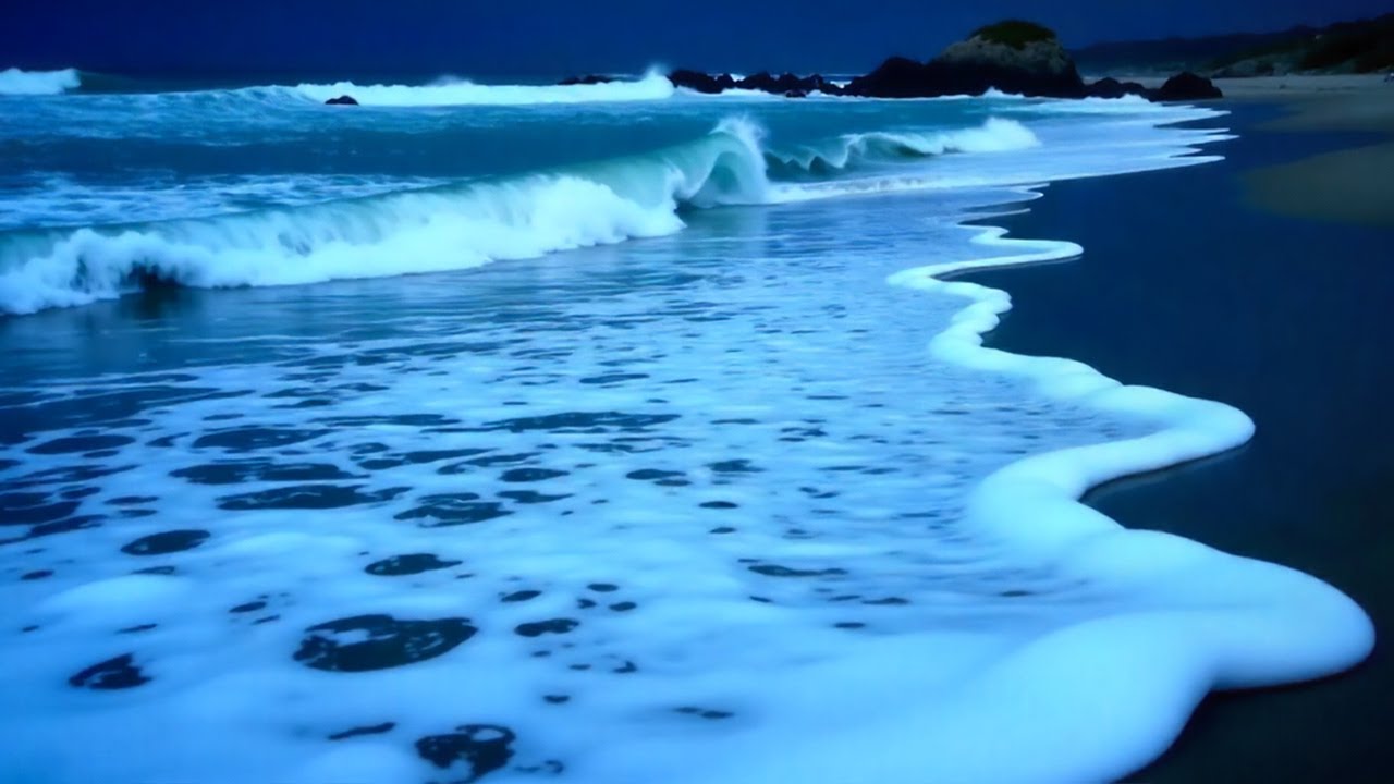 Quiet Ocean Waves at Night 🌙 Peaceful Sleep Ambience (LIVE) - YouTube