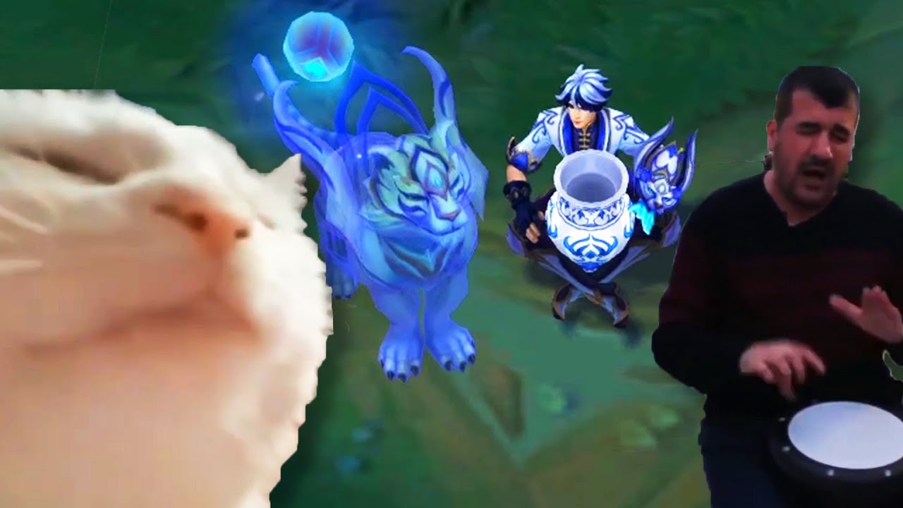 CatJAM 🎶 OH The Misery 🎶 CatJAM - YouTube