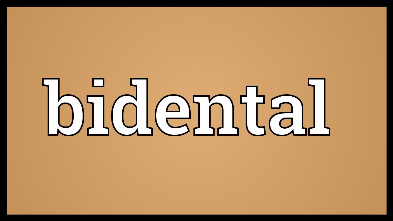 Bidental Meaning - YouTube