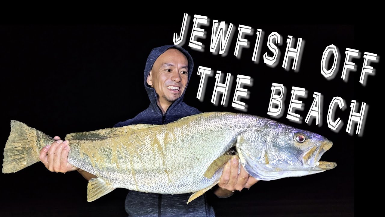 Jewfish off the beach - YouTube