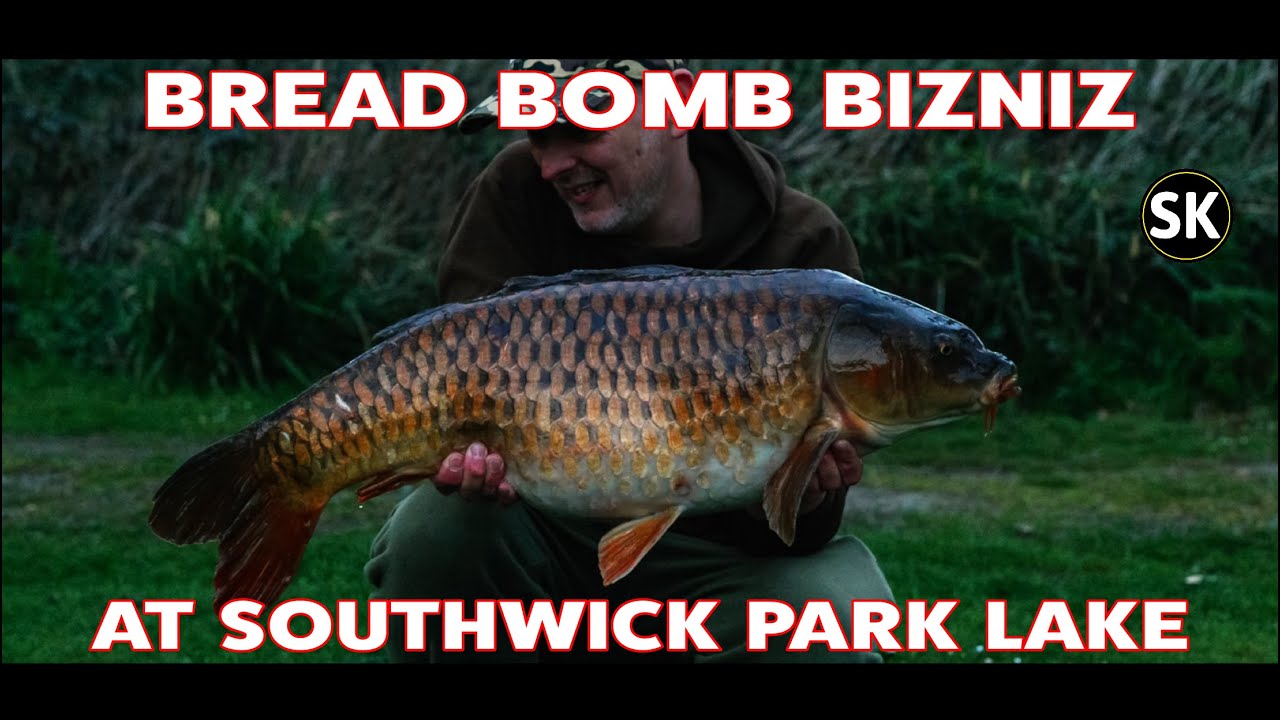 Carp Fishing with the Bread Bomb at Southwick Park lake - YouTube