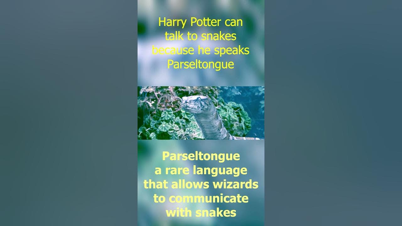 Harry Potter speaks "Parseltongue" | snakes language - YouTube