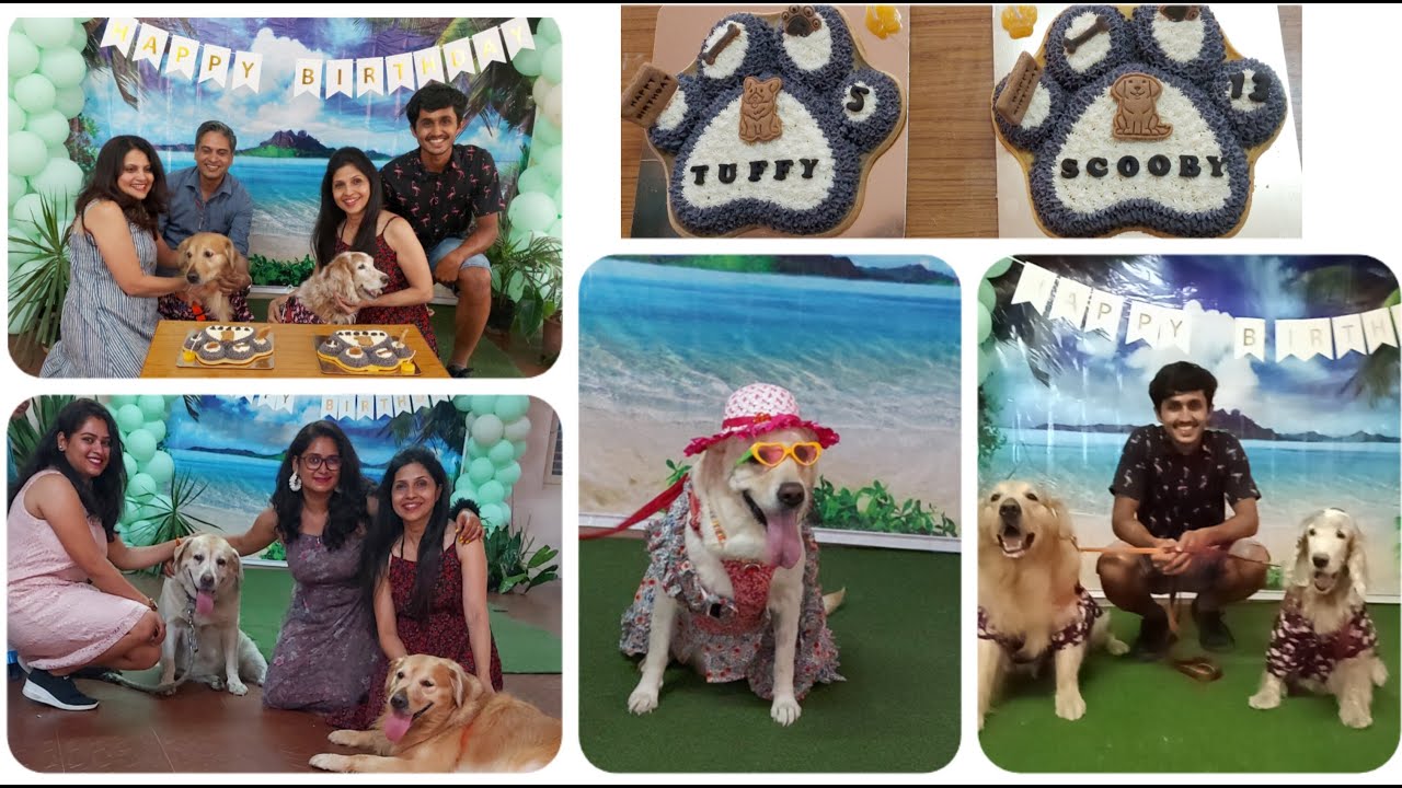 Beach Theme doggo party| Scobby & Tuffy b'day party| Angel's beach look ...