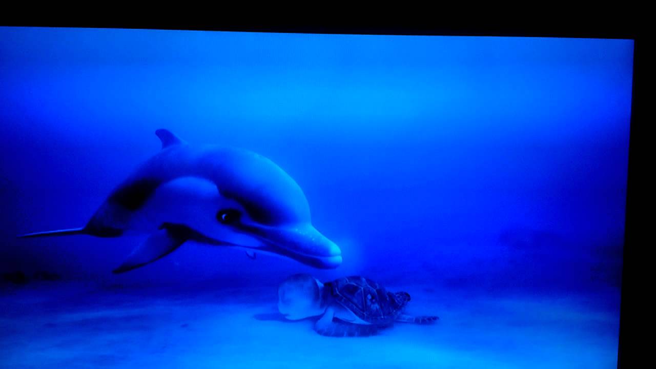 Count on me a turtles tale - YouTube