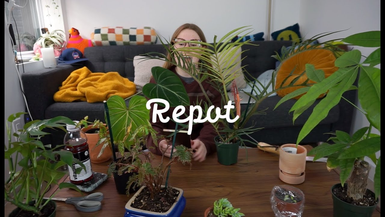 Saying Goodbye To My Plants (repot) | Plant Diary 2 - YouTube