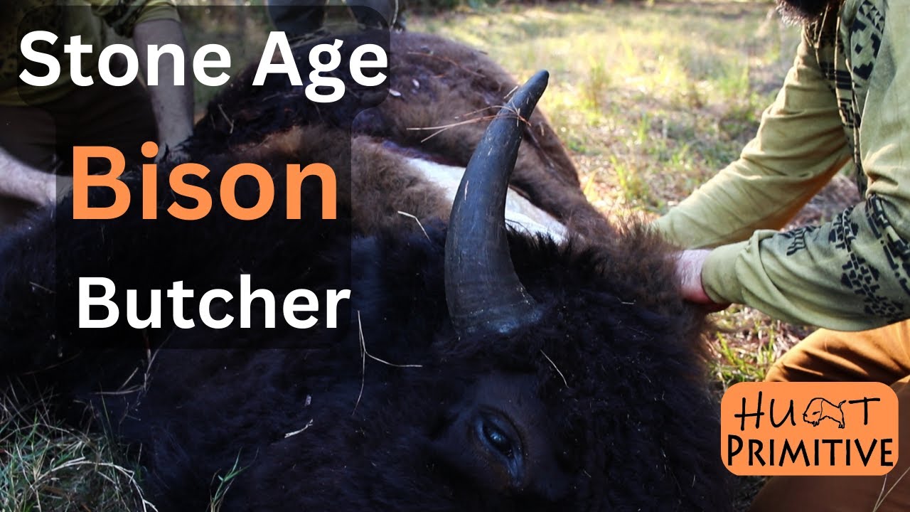 Skinning and Butchering a Bison with Stone age tools - YouTube