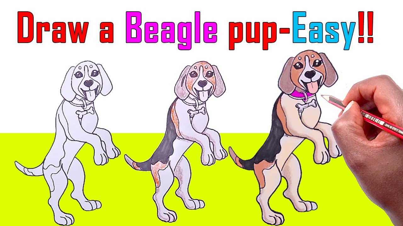 How To Draw a Beagle Pup - YouTube
