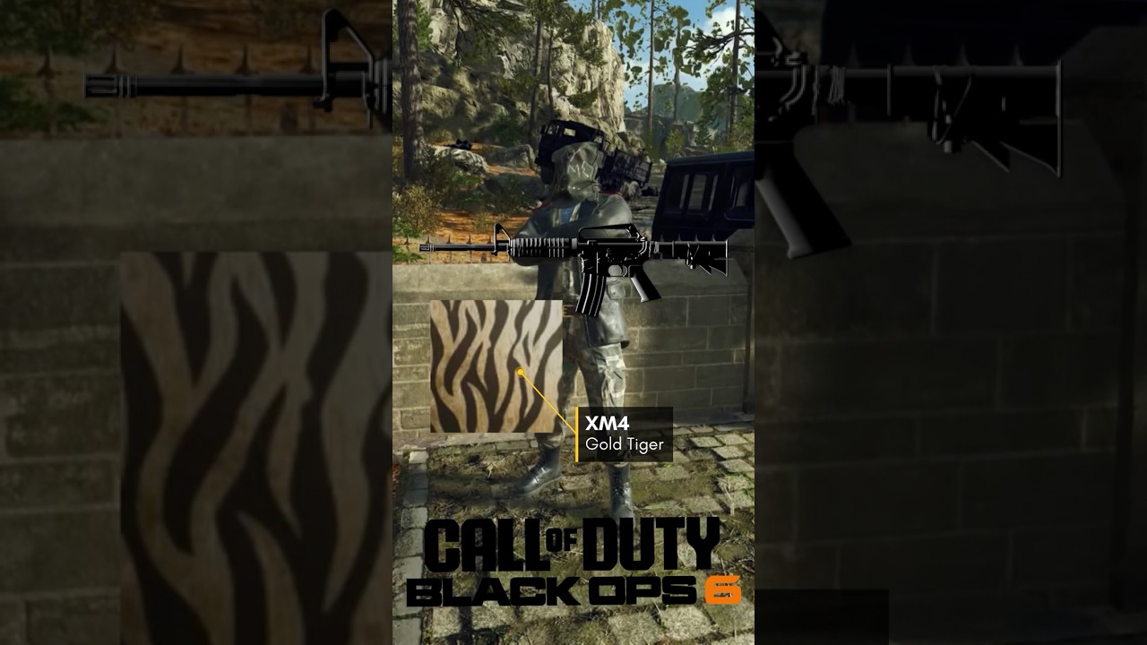 XM4 Gold Tiger Camo | Black ops 6 | Warzone | Call of duty #warzone # ...