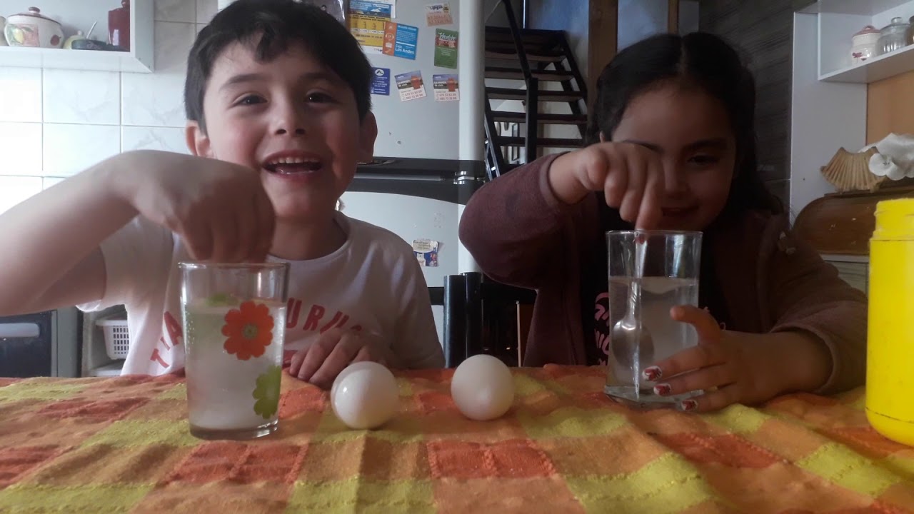 Experimento "un huevo que flota" Tomas junto a agustina - YouTube