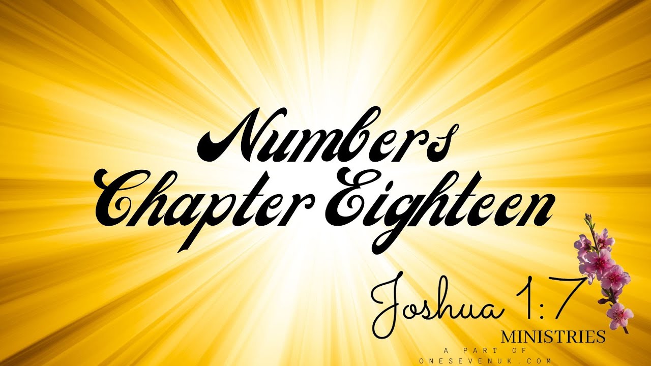 Numbers Chapter 18 Modern English Version Audio Bible Reading 🎧 ️ - YouTube
