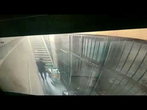 Pişik marektin anbarına yaxınlaşır