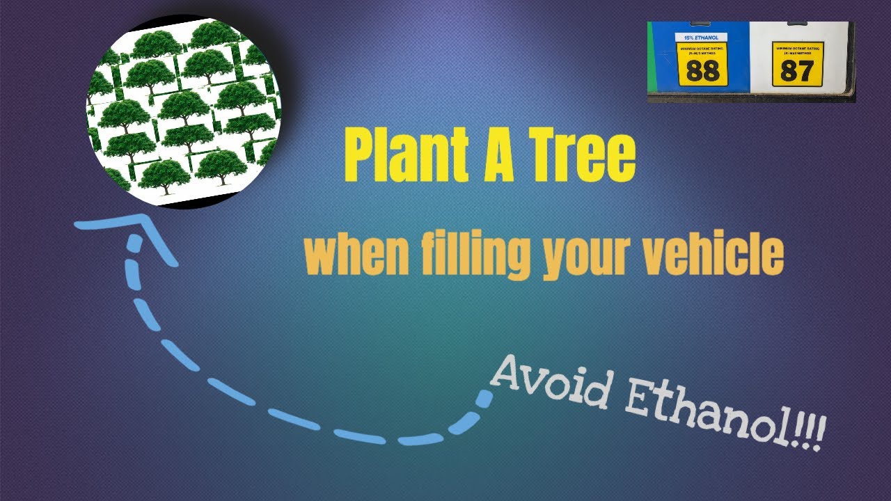 Plant A Tree by Avoiding Ethanol - YouTube