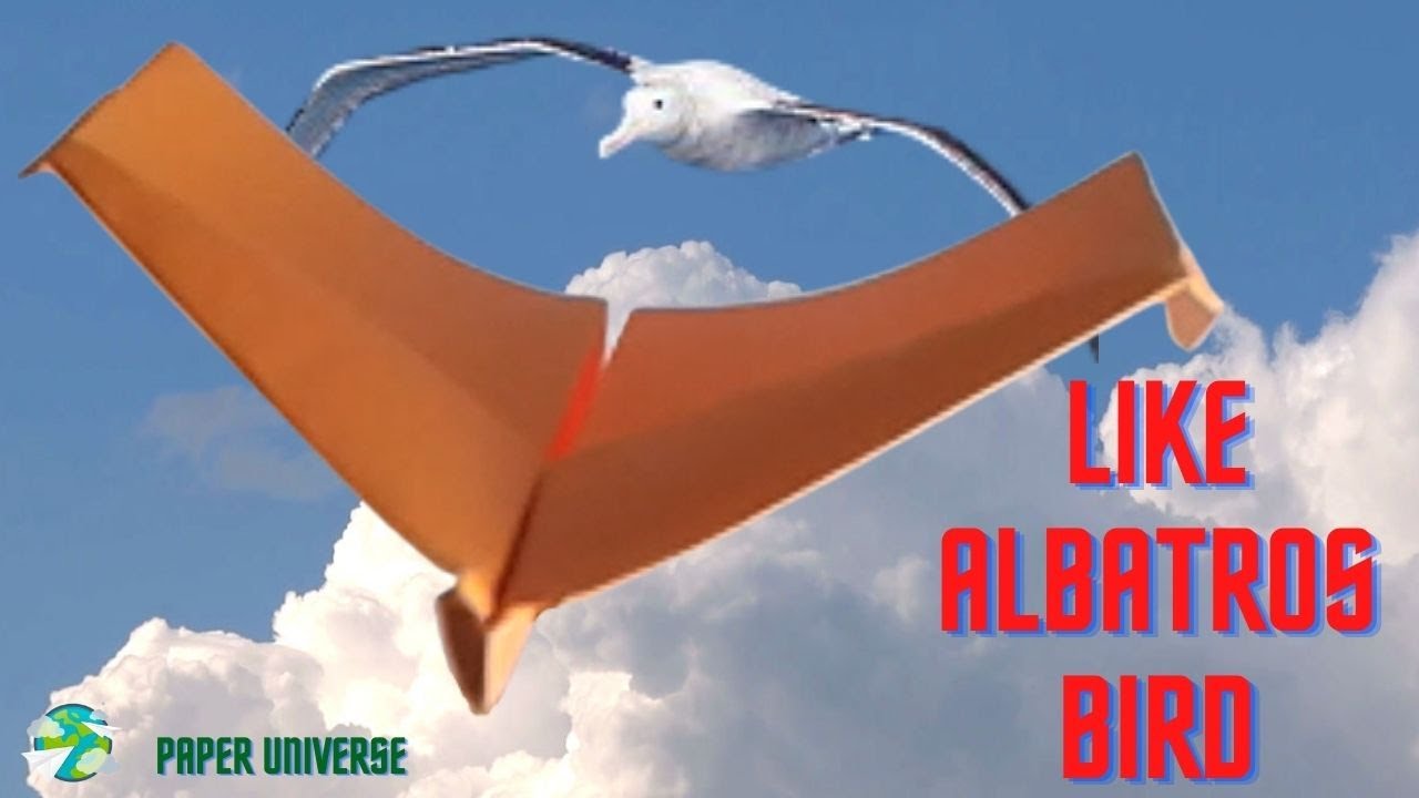 How to Make a Lke Albatros Paper Plane? / What Paper Airplane Pilots ...