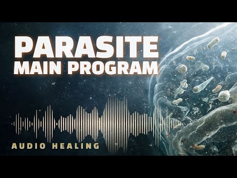 Parazit (Ana Program) 🪱 Biyorezonans Terapisi | Tüm Vücut Frekans Detoksu (BRT)