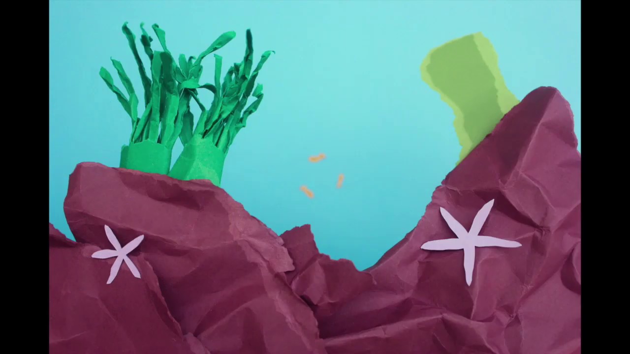 Save the Ocean - stop motion - YouTube