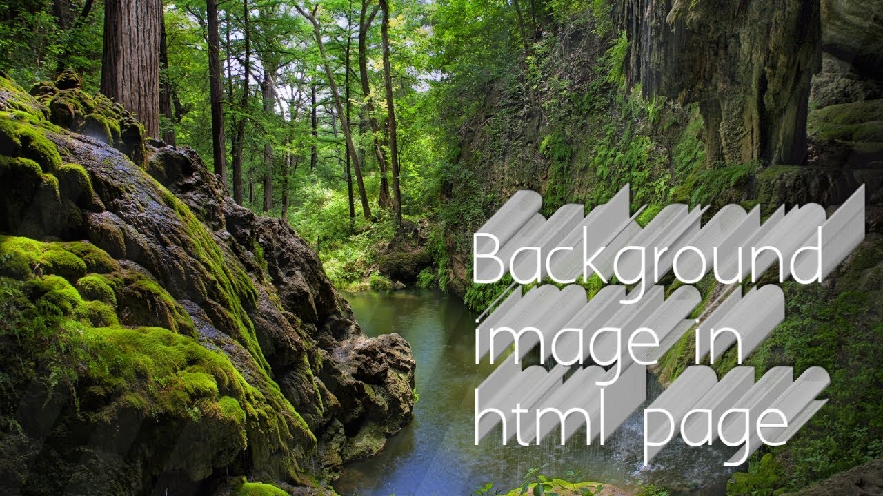 Add Background Image In Html Page YouTube add-background-image-in-html-page-youtube