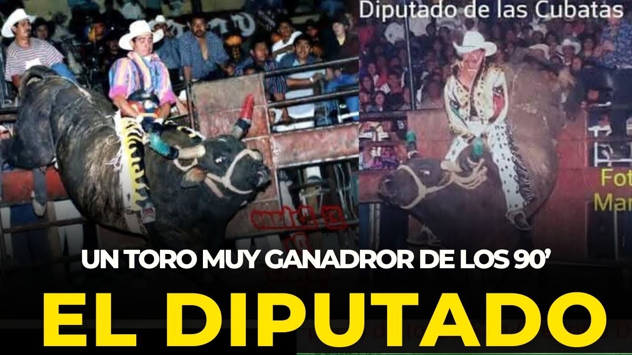 Toro el Diputado de Rancho las Cubatas - YouTube