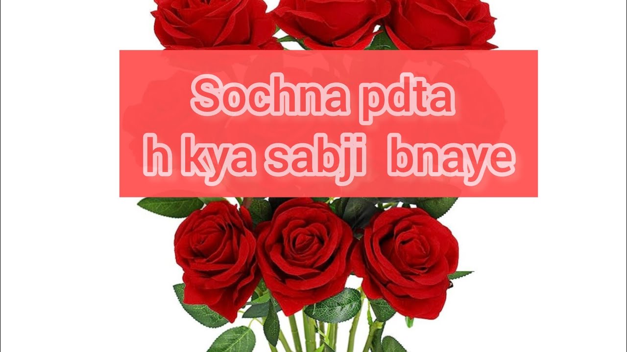 abhi bhi sochna pdta h sabji#kya bnaye #daily life vlogs - YouTube