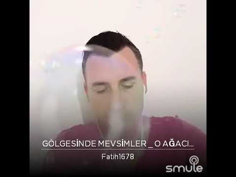 Fatih Aksu # O ağacın altını şimdi anıyormusun