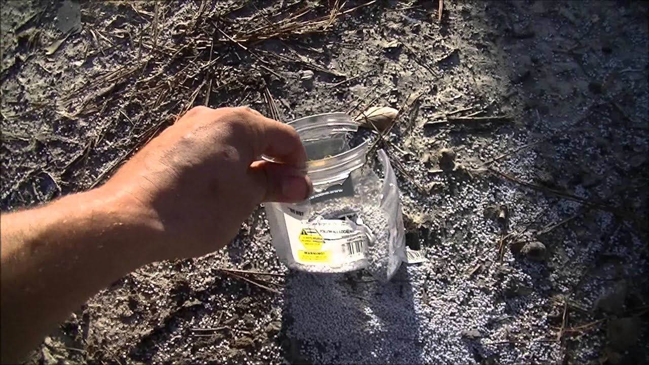 Whos exploding target is the best???? - YouTube