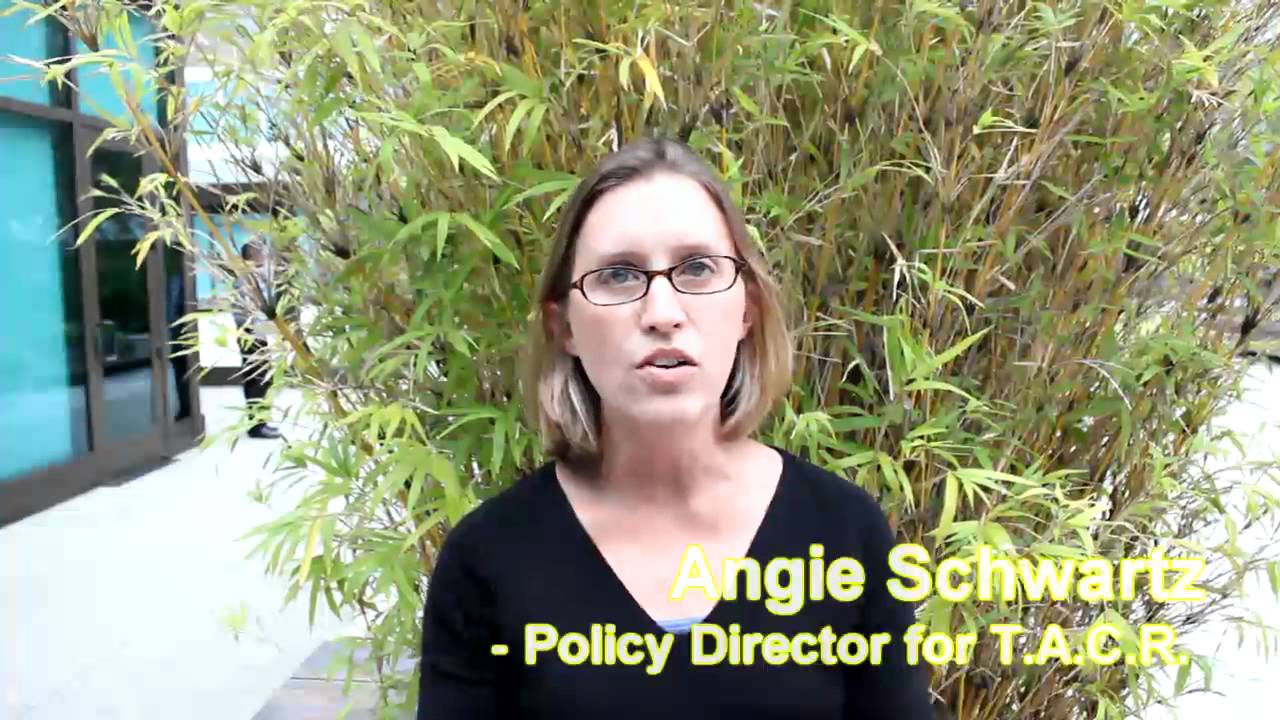 AB-12: Angie Schwartz breaks down what AB-12 is all about - YouTube