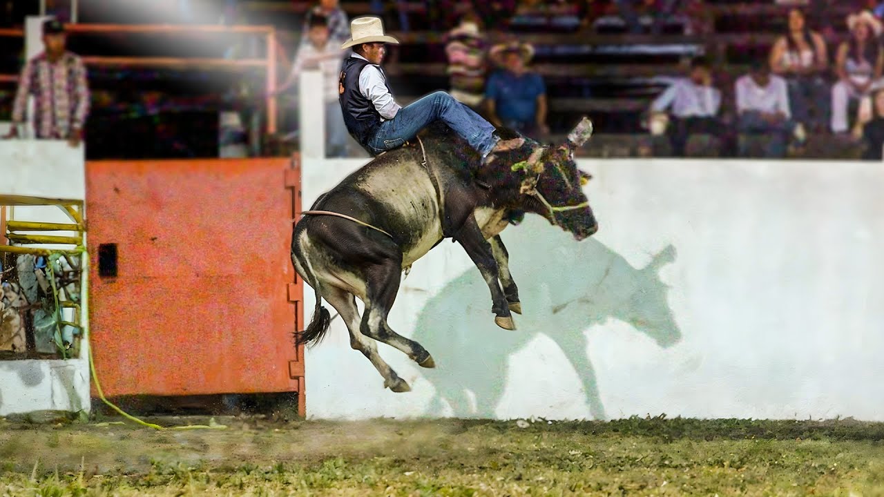 TORAZO EL ARRIBA CHICAGO, REPAROS ESPECTACULARES || Rancho El Rosario ...