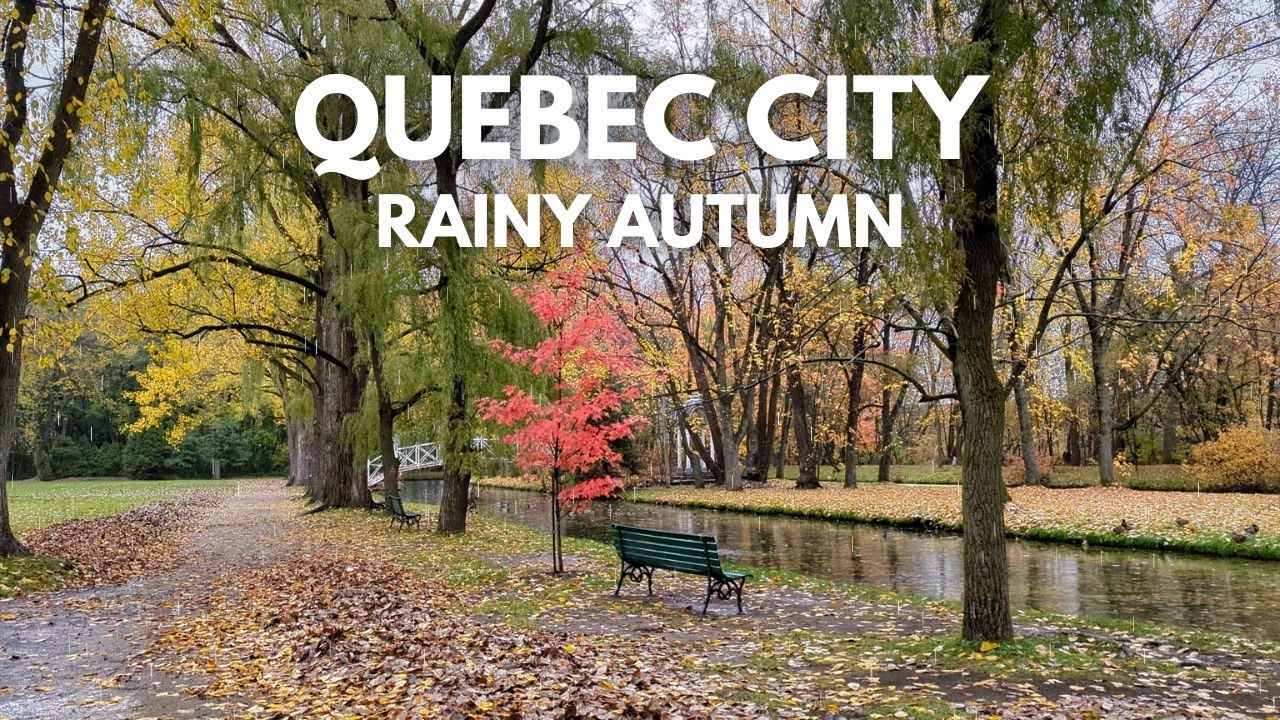 Walking in the Rain Autumn Leaves Quebec, Canada | Ambient Rain 4K HDR ...