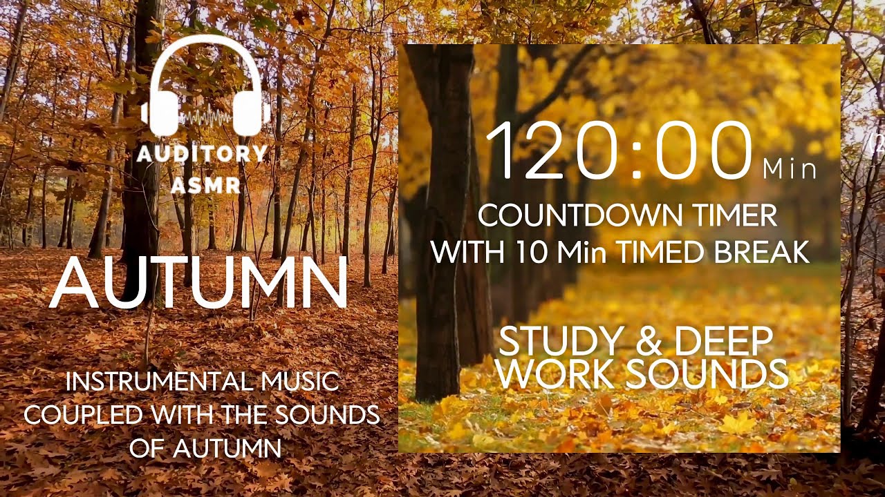 2 Hour Deep Focus Pomodoro 🍁 Autumn Forest Ambience + Break Timer (10 ...