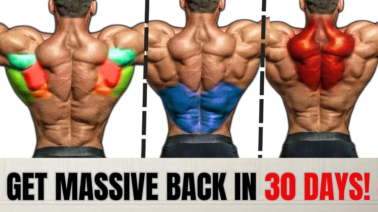 Build a Bigger Back: Gym vs. Home Workouts | Best Exercises for a ...