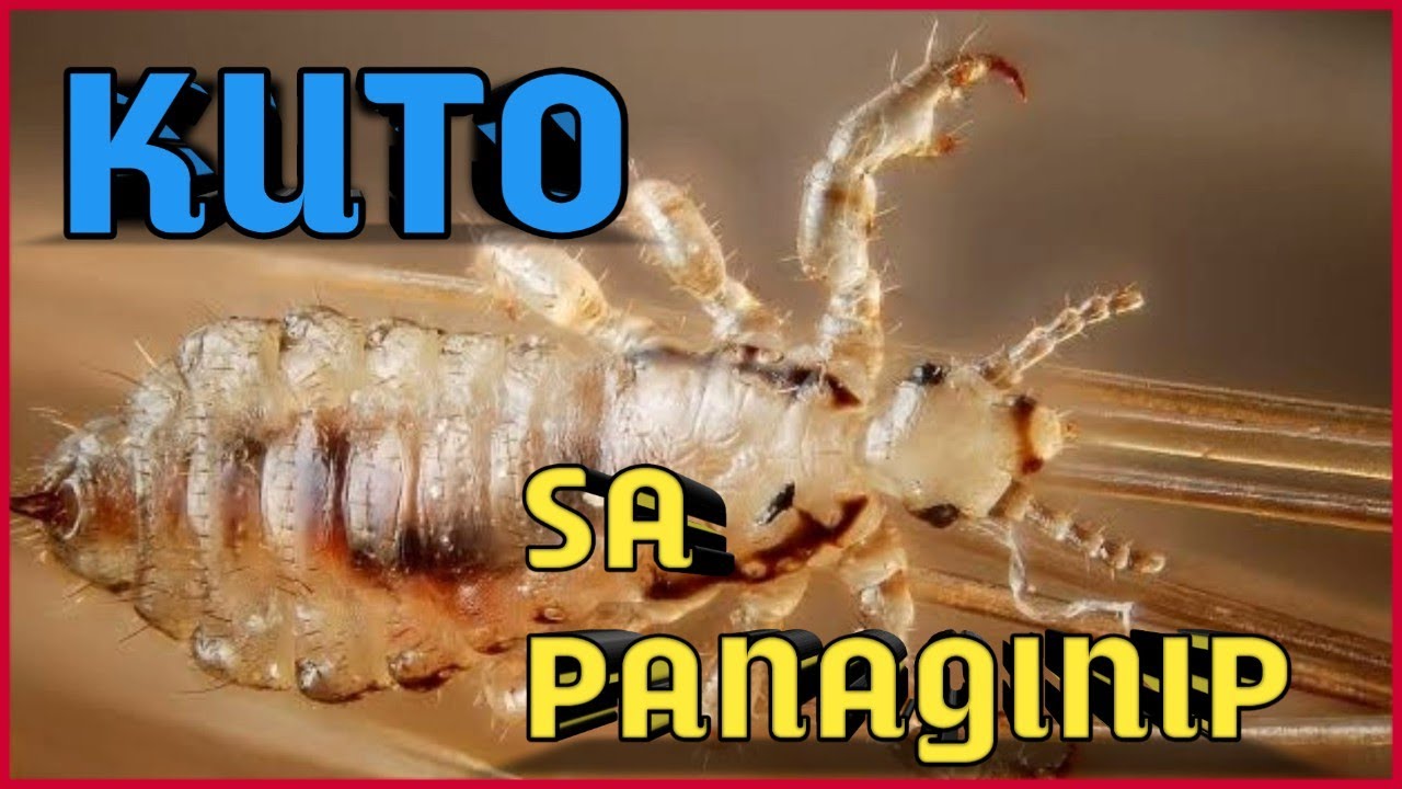 KUTO SA PANAGINIP AT KAHULUGAN NITO. - YouTube