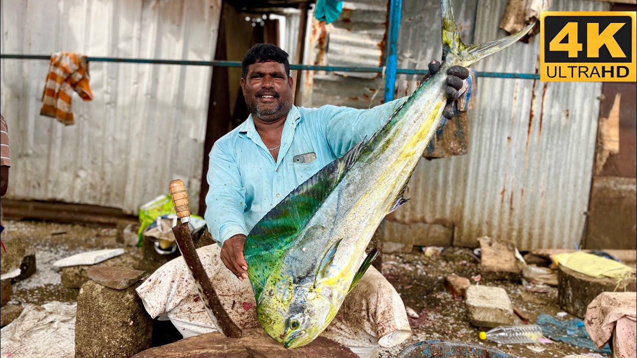 Parala fish cutting video/Fishcuttingrs #fishcuttingrs #fish #kasimedu ...