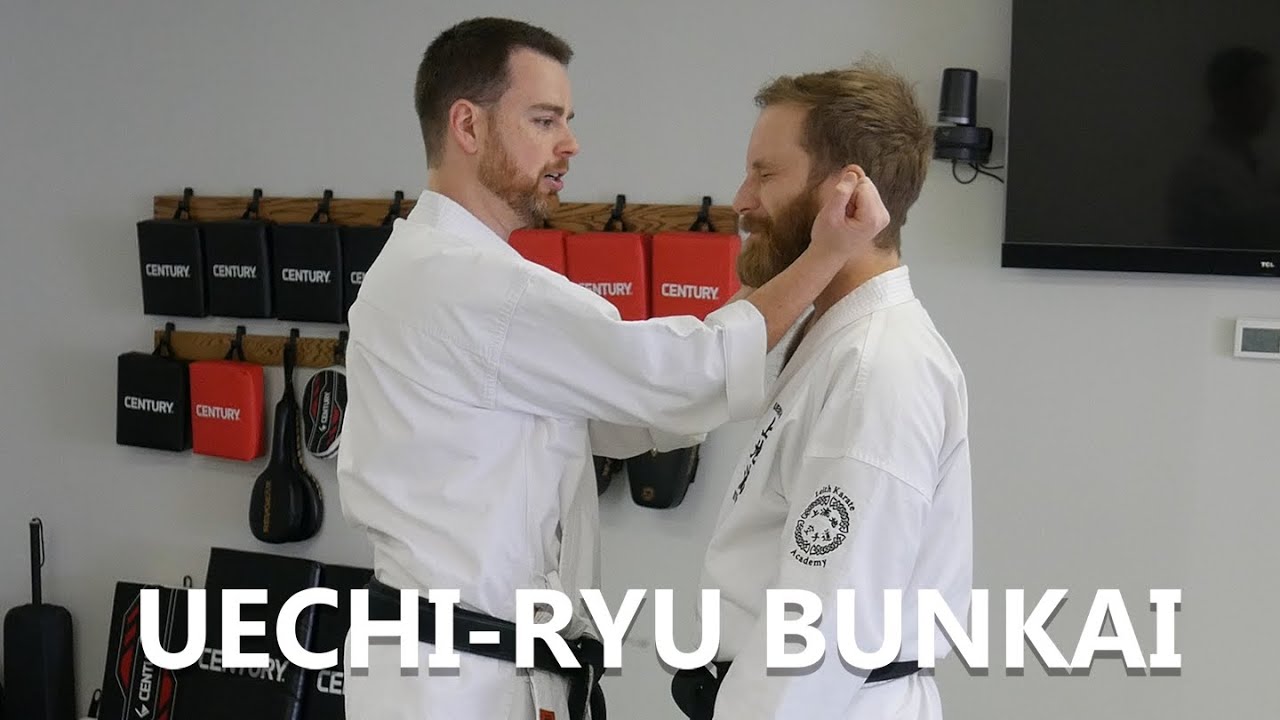 Uechi-Ryu Karate Kata Bunkai - Thoughts on Elbow and Hammer Fist ...