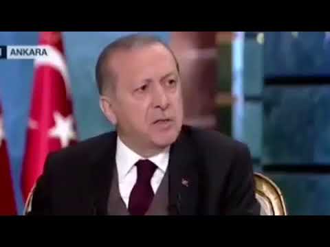 sen ne gerizekalısın ya!