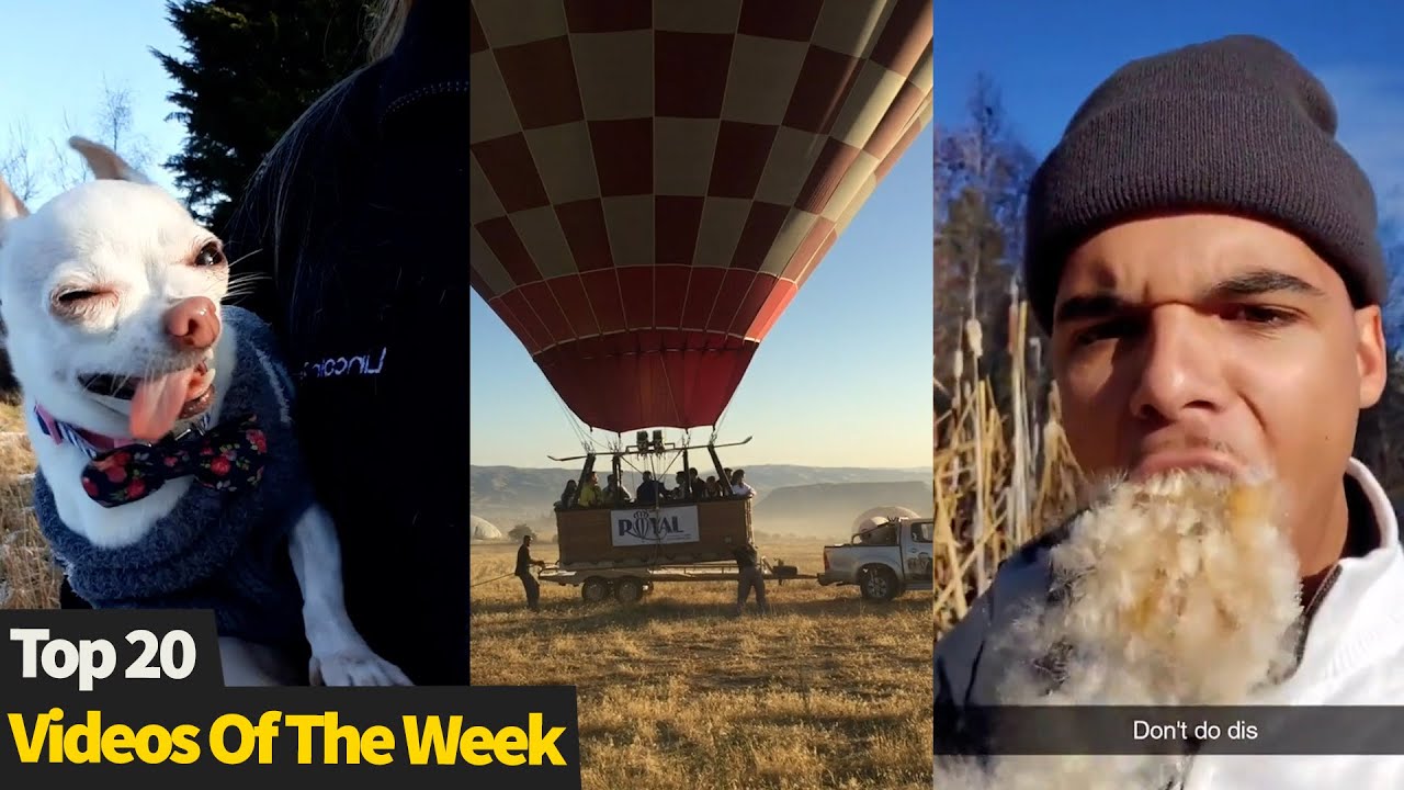 Top 20 Best Viral Videos 2021 (Best Of The Internet) #1 - YouTube