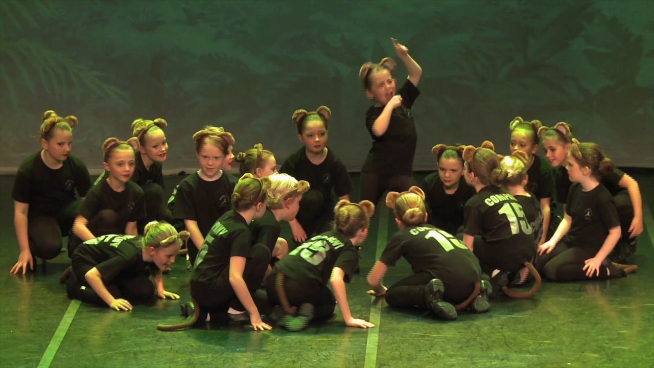 NVSDD: Join us in 2017! - YouTube